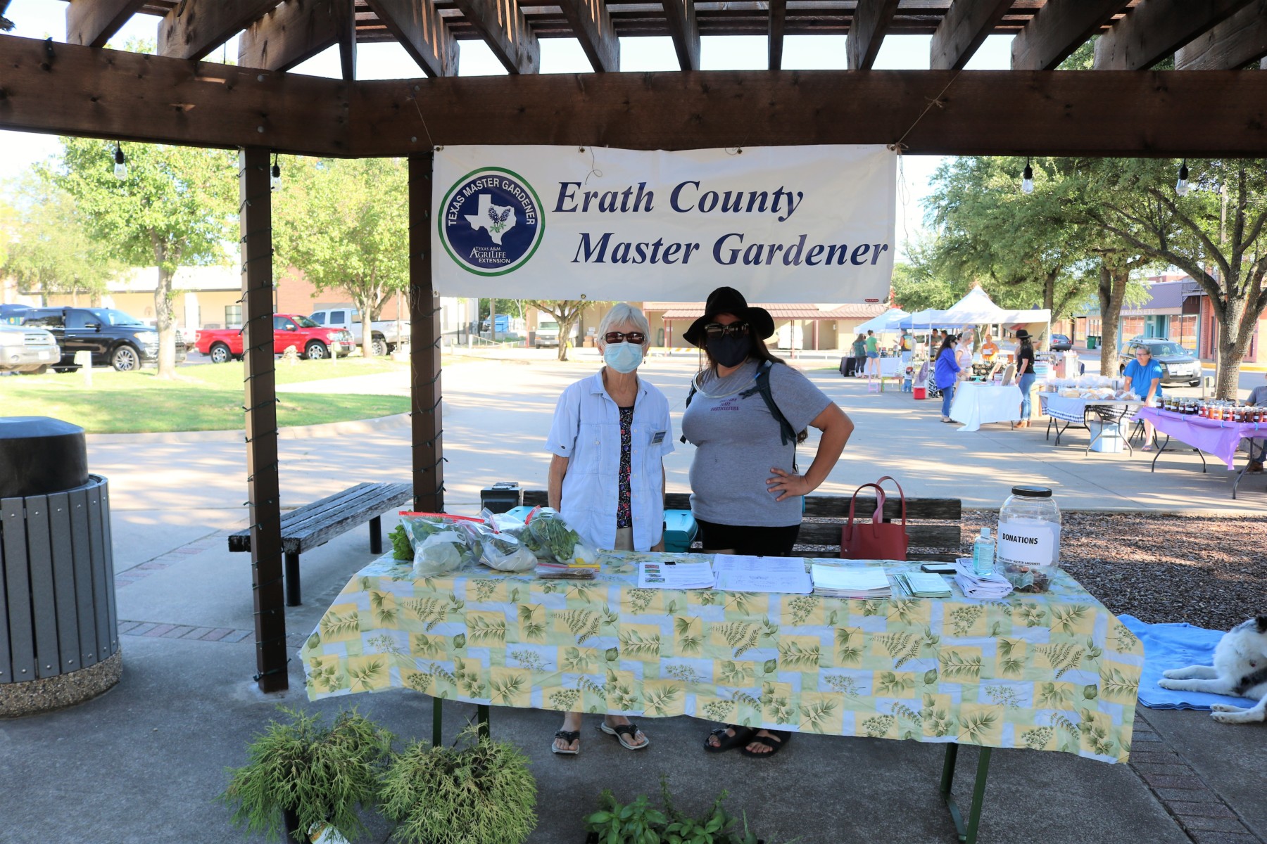 PHOTOS: August Stephenville Farmers’ Market – The Flash Today Erath County