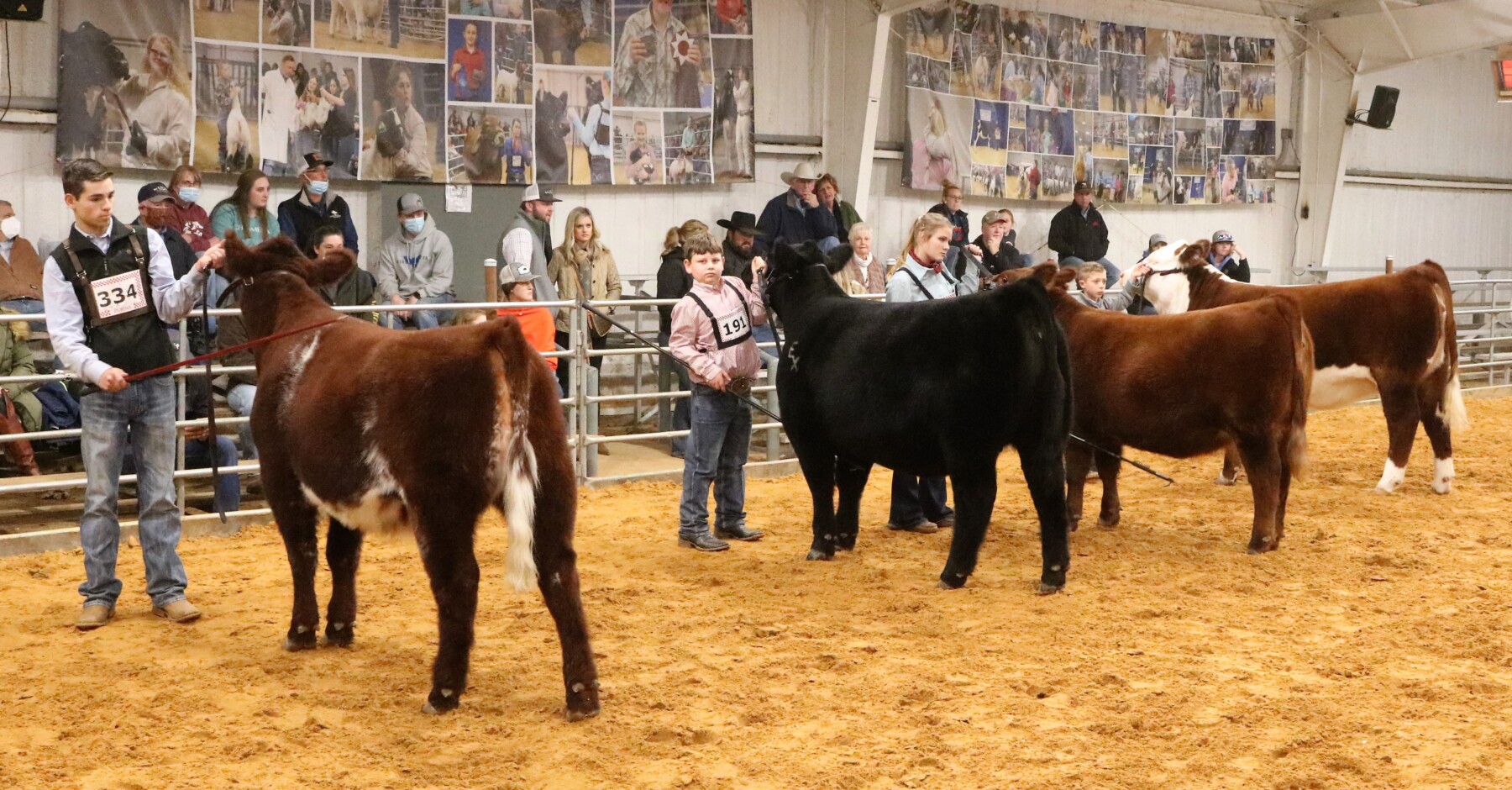 PHOTOS: 2021 Erath County Jr. Livestock Show – Beef Cattle – The Flash ...
