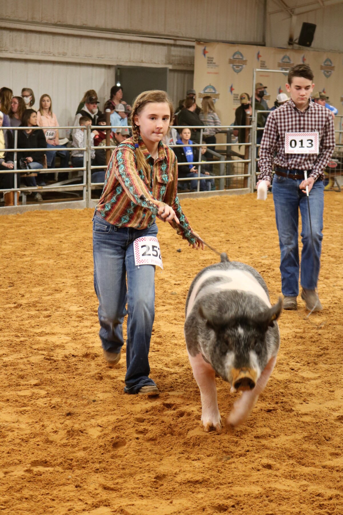 PHOTOS: Erath County Jr. Livestock Show 2021 – Pigs – The Flash Today ...