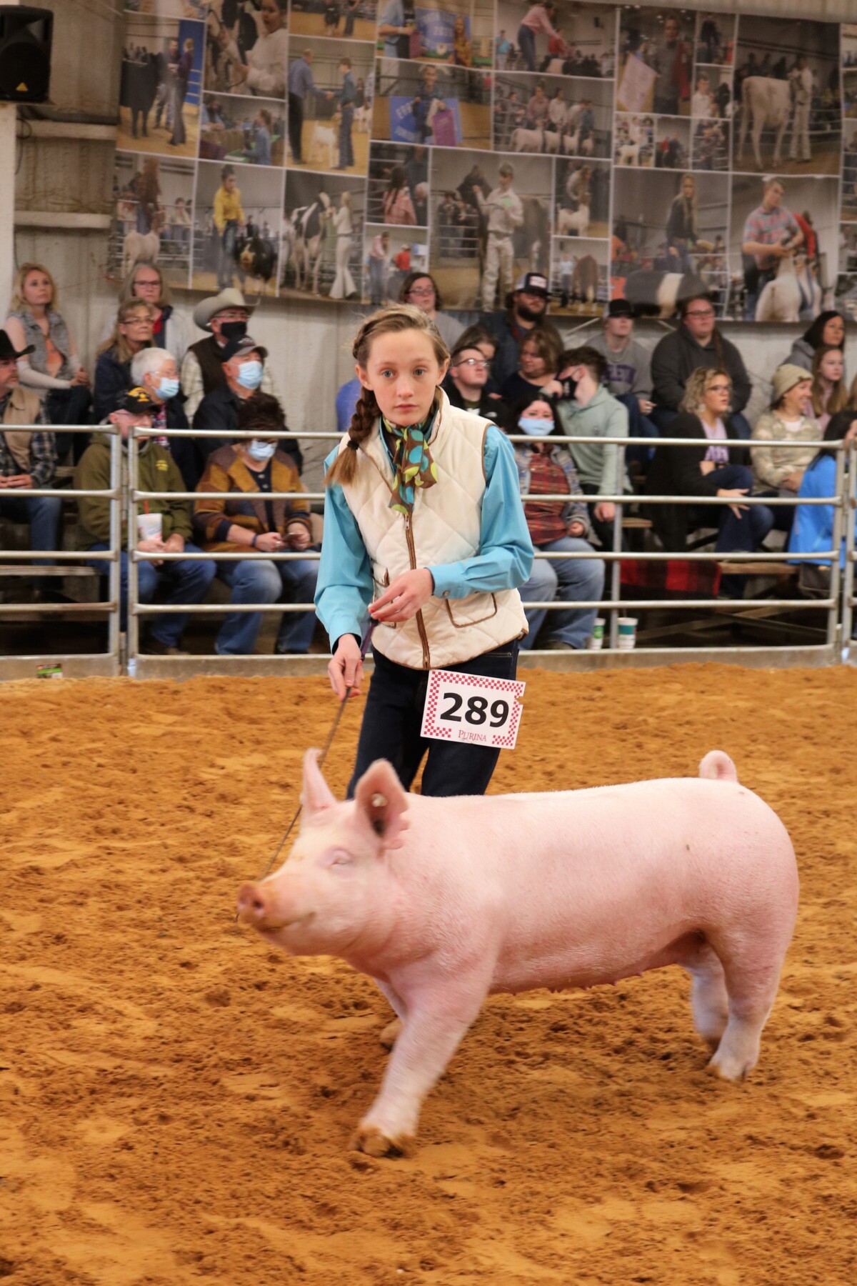 PHOTOS: Erath County Jr. Livestock Show 2021 – Pigs – The Flash Today ...